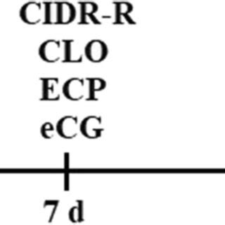 Outline Of The Estrus Synchronization Protocol CIDR I And CIDR R Download Scientific Diagram