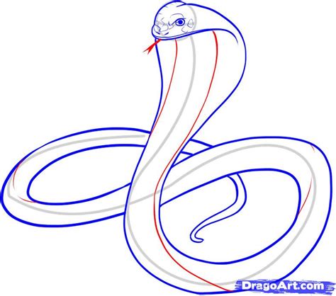 Cobra Head Drawing At PaintingValley Com Explore Collection Of Cobra Head Drawing