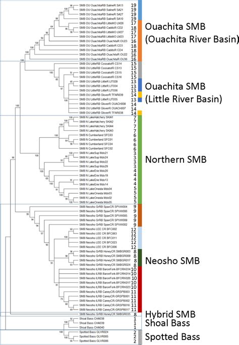 Neighbor Joining Bootstrap Consensus Tree Inferred From 200 Replicates