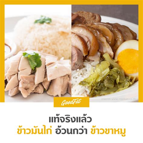 Goodfat 🐔🐷 แท้จริงแล้ว ข้าวมันไก่ อ้วนกว่า ข้าวขาหมู Facebook