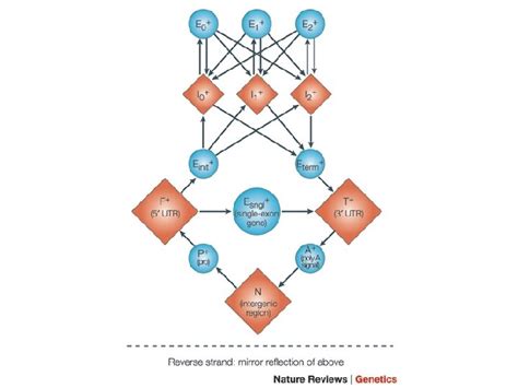 Hidden Markov Model And Its Application In Bioinformatics