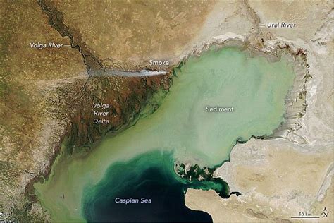 Niger River Delta Sediment