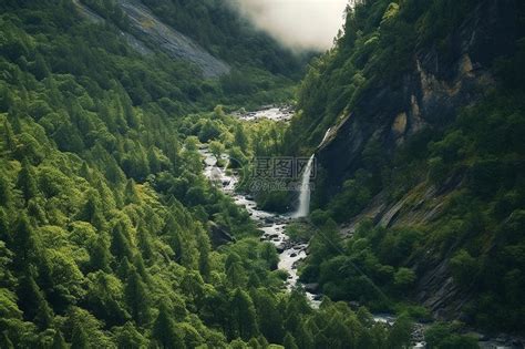 森林地区灌木丛高清图片下载 正版图片600187895 摄图网
