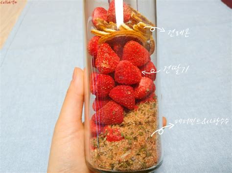 보드카를 더 맛있게 슬로드카 스트로베리 피크닉 네이버 블로그