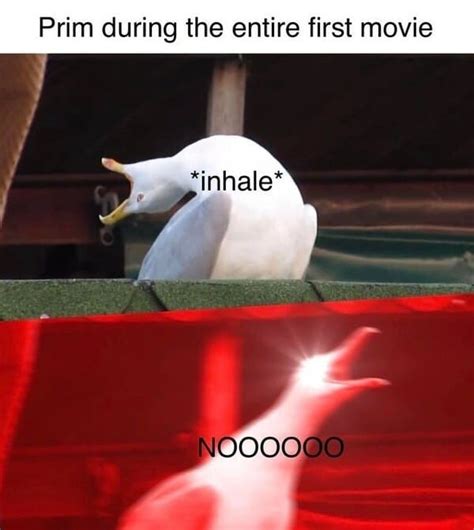30 Funny Hunger Games Memes For Everyone Rewatching The Movies Newly