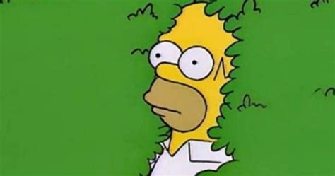 Este Es El Desconocido Origen Del Meme De Homero Simpson Ocultándose