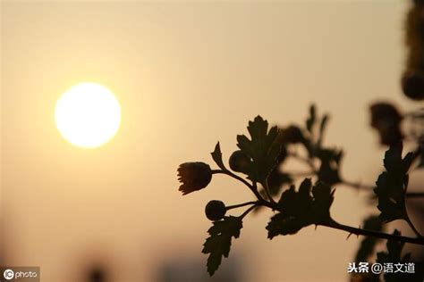 唐詩鑑賞李白子夜吳歌 每日頭條