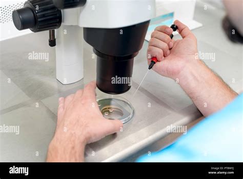 Microscope Fertility Clinic Egg Fertilization Hi Res Stock Photography And Images Alamy