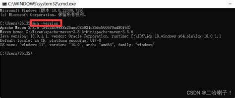 Java环境下Maven安装与环境变量配置 阿里云开发者社区