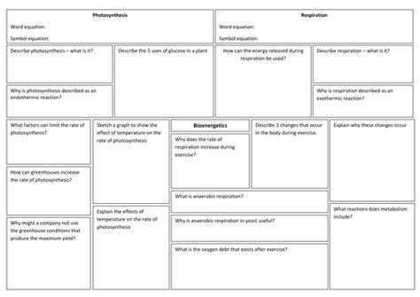 B4 Bioenergetics Revision Broadsheet Teaching Resources