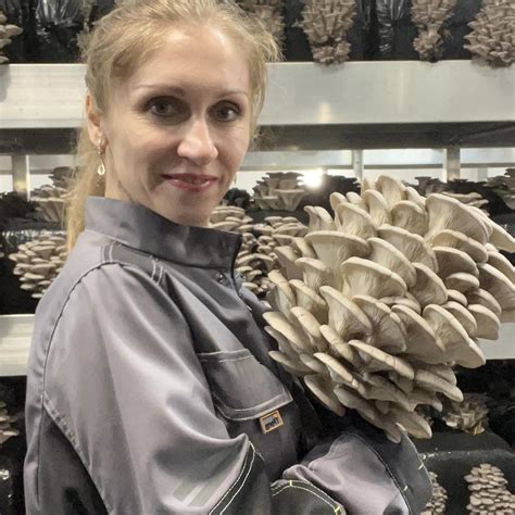 The Process Of Seeding Mycelium Into The Substrate And Forming A