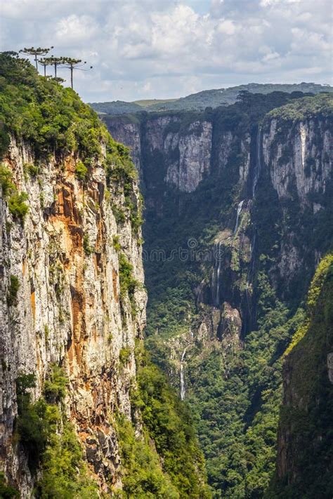 Waterfall At Itaimbezinho Canyon Stock Image Image Of Grande Plant