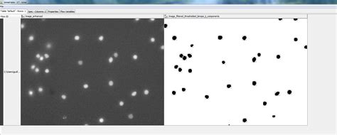 How To Save Cookie Cut Grey Valued Images Post Segmentation Knime