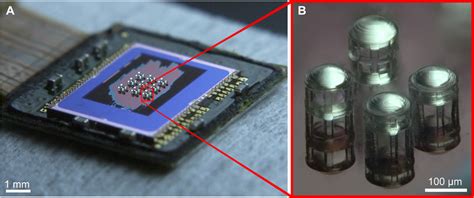 This Cmos Sensor With 3d Printed Microlenses Is Designed To Mimic