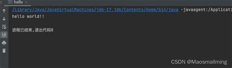 （简单完整版）mac M1 Java开发环境搭建含idea的下载安装 并成功输出第一个简单程序m1安装jdk17 Csdn博客