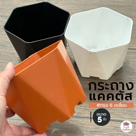 กระถาง 5 นิ้ว ทรง 6 เหลี่ยม ไทย กระถางพลาสติก แคคตัส กระบองเพชร ไม้อวบน้ำ Cactusandsucculent