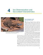 Sex Determination Benjamin Pierce Pdf Sex Determination And Sex Linked Characteristics THE