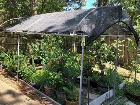 8 Essential Tomato Netting Types You Should Know Insonshade 8 Essential Tomato Netting Types You Should Know Insonshade