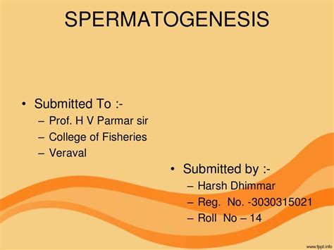 Spermatogenesis In Fish By Harsh Dhimmar Pptx