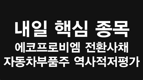 2차전지 에코프로비엠 전환사채 핵심내용 2차전지 주가전망 자동차부품주 역사적 저평가구간입니다 의료기기 상승은