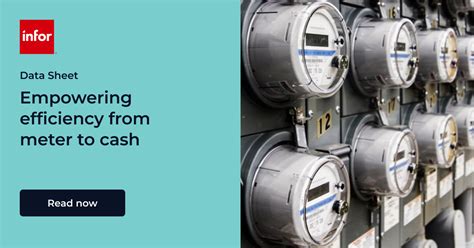 Infor Cis Utility Billing Datasheet Infor