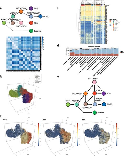 Application Of Espresso To Detect Temporal Discriminator Genes Tdgs Download Scientific