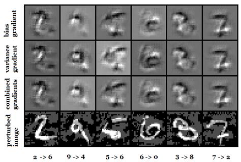 Visualizations Of Bias Variance Biasvariance And Perturbed Images