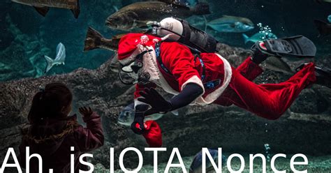 Iota Pearldiver Python Implement Of Iota Transaction Nonce Searcher