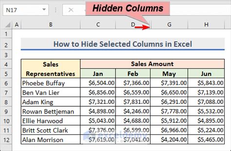 How To Hide Selected Columns In Excel Shortcut Printable Forms Free