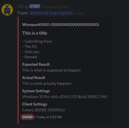 How To Report A Bug Discord
