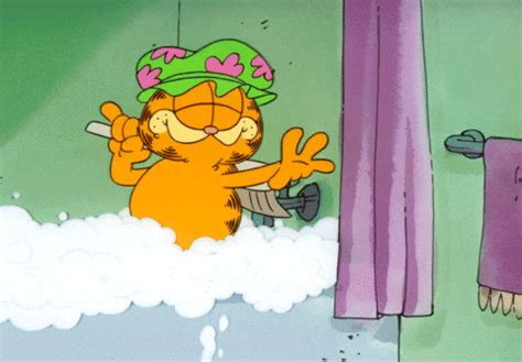 Cat Wash S Get The Best  On Giphy