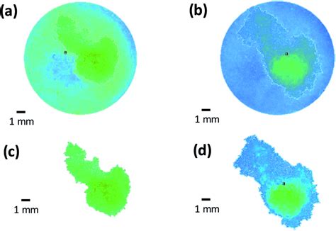 Multiple Regional Analysis Of Surface Swelling Of Matrix Tablet Using
