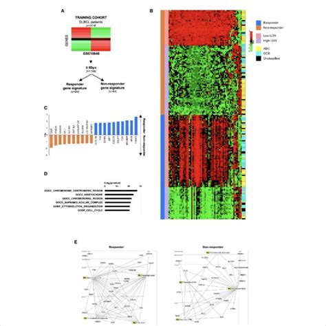 Gene Expression Analysis Of A Large Cohort Of Dlbcl Patients Reveal A