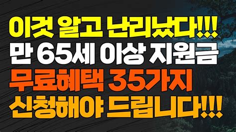 이것 알고 난리났다 만 65세 이상 노인 지원금 정부 무료혜택 35가지 신청해야 드립니다 Youtube