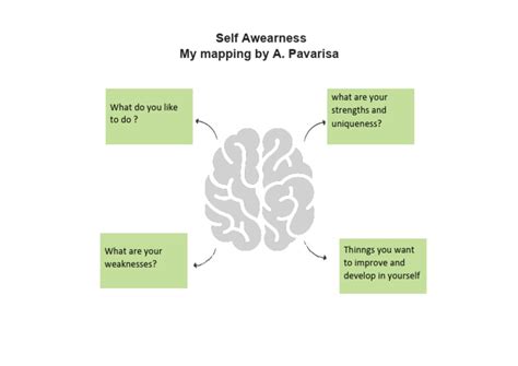 Self Awearness My Maping Pdf