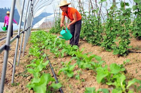 经常买到假肥料肥料使用效果差这10条肥料知识一定要知道 搜狐大视野 搜狐新闻