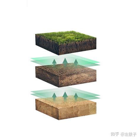 细胞外基质（ecm）——再生医学新材料 知乎