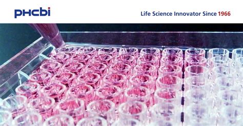 Dr Jonathan Barlow On Linkedin Hanene Ali Boucetta