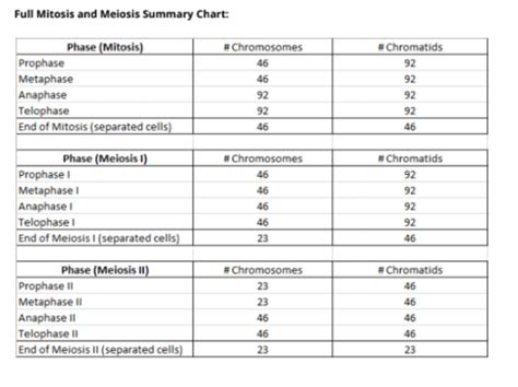 Unit 3 Bio Exam Flashcards Quizlet