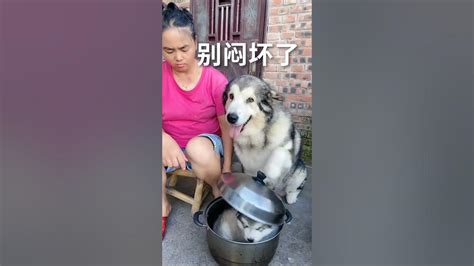 親生的果然待遇不一樣😂 Shorts Youtube