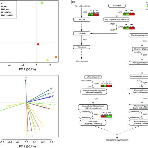 principal component analysis pca of lipids a the distribution of