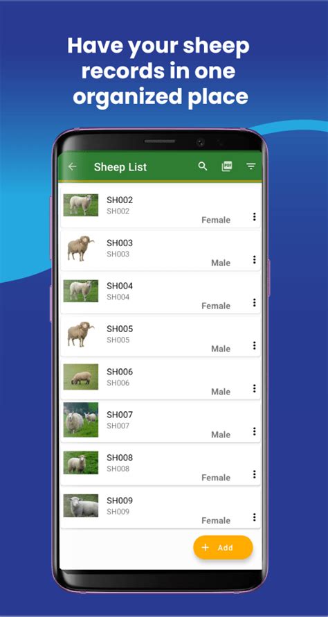 My Sheep Manager Sheep Farm Record Keeping App