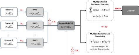 The Proposed Multiple Kernel Sparse Learning Framework For Multiclass