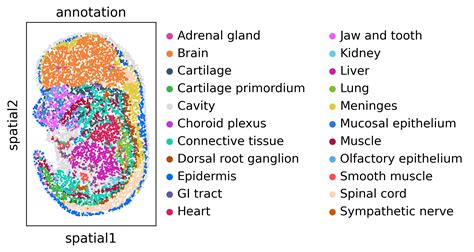 Align Multiple Slices To Reconstruct 3d — Python Documentation