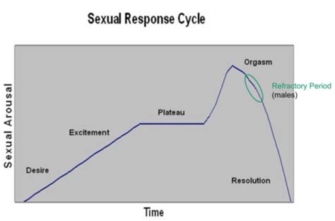 Human Sexuality Flashcards Quizlet
