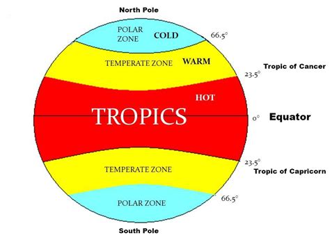 Globe Latitudes And Longitudes Chapter 2 Class 6 Ncert Geography Amit Sengupta