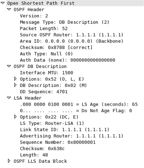Ip Routing And Switching Ospfv2 Packet Types