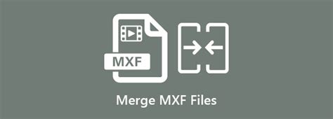 Quickly Ways On How To Merge MXF Files Online And Offline
