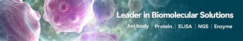 Abclonal Technology Asia Pacific On Linkedin Abclonal Mitochondrialautophagy Cellularbiology