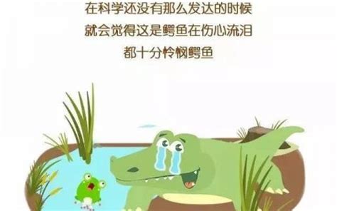 老北鼻是啥意思盖了帽了我的老baby什么意思 布丁导航网